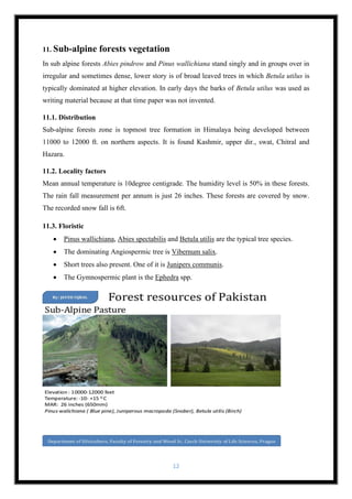 Vegetation of pakistan | PDF