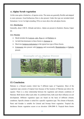 Vegetation of pakistan | PDF