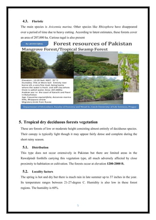Vegetation of pakistan | PDF