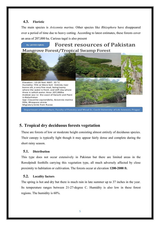 Vegetation of pakistan | PDF | Parks | Attractions