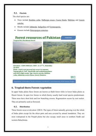 Vegetation of pakistan | PDF