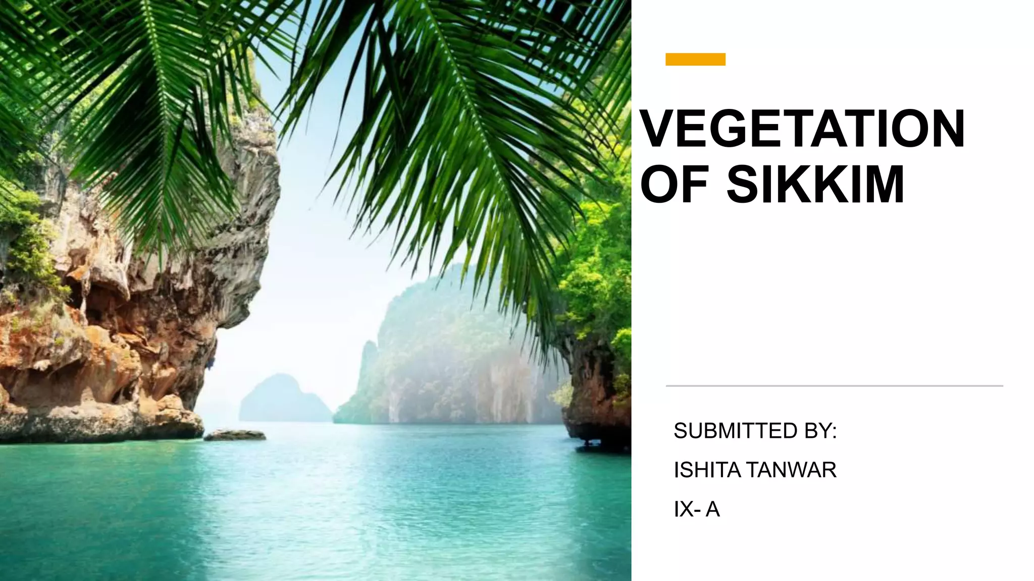 VEGETATION OF SIKKIM.pptx