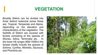 VEGETATION OF SIKKIM.pptx