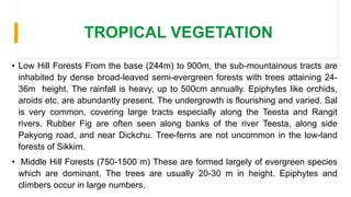 VEGETATION OF SIKKIM.pptx