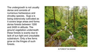 VEGETATION OF SIKKIM.pptx