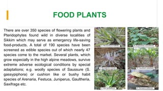VEGETATION OF SIKKIM.pptx