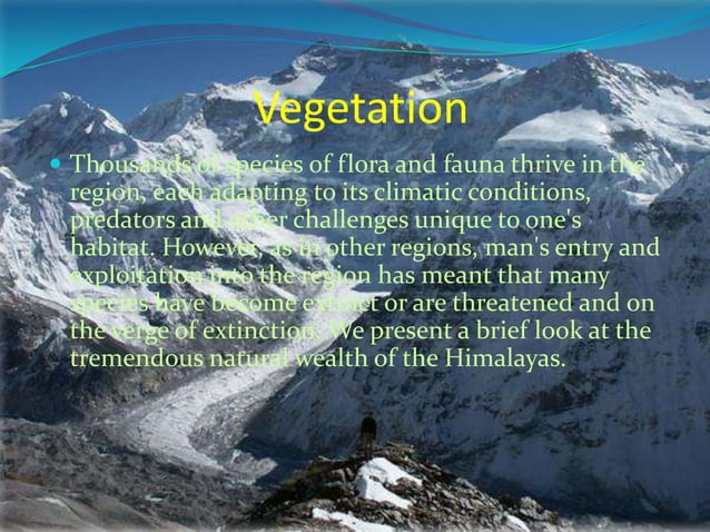 Vegetation of the himalayan regions | PPTX