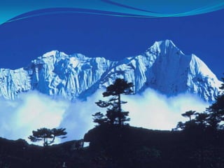 Vegetation of the himalayan regions | PPTX