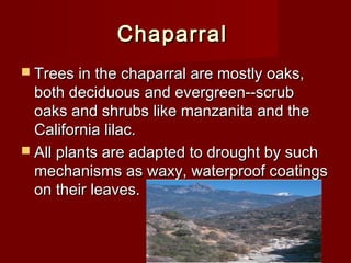 Vegetation regions interactive | PPT