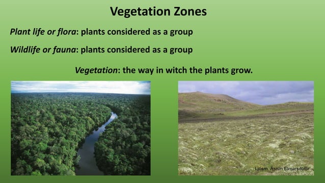 Vegetation zones | PPTX