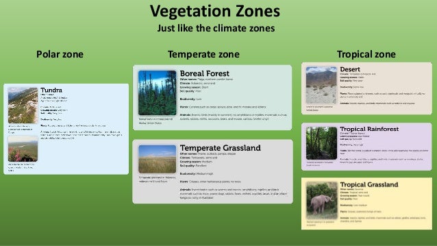Vegetation zones