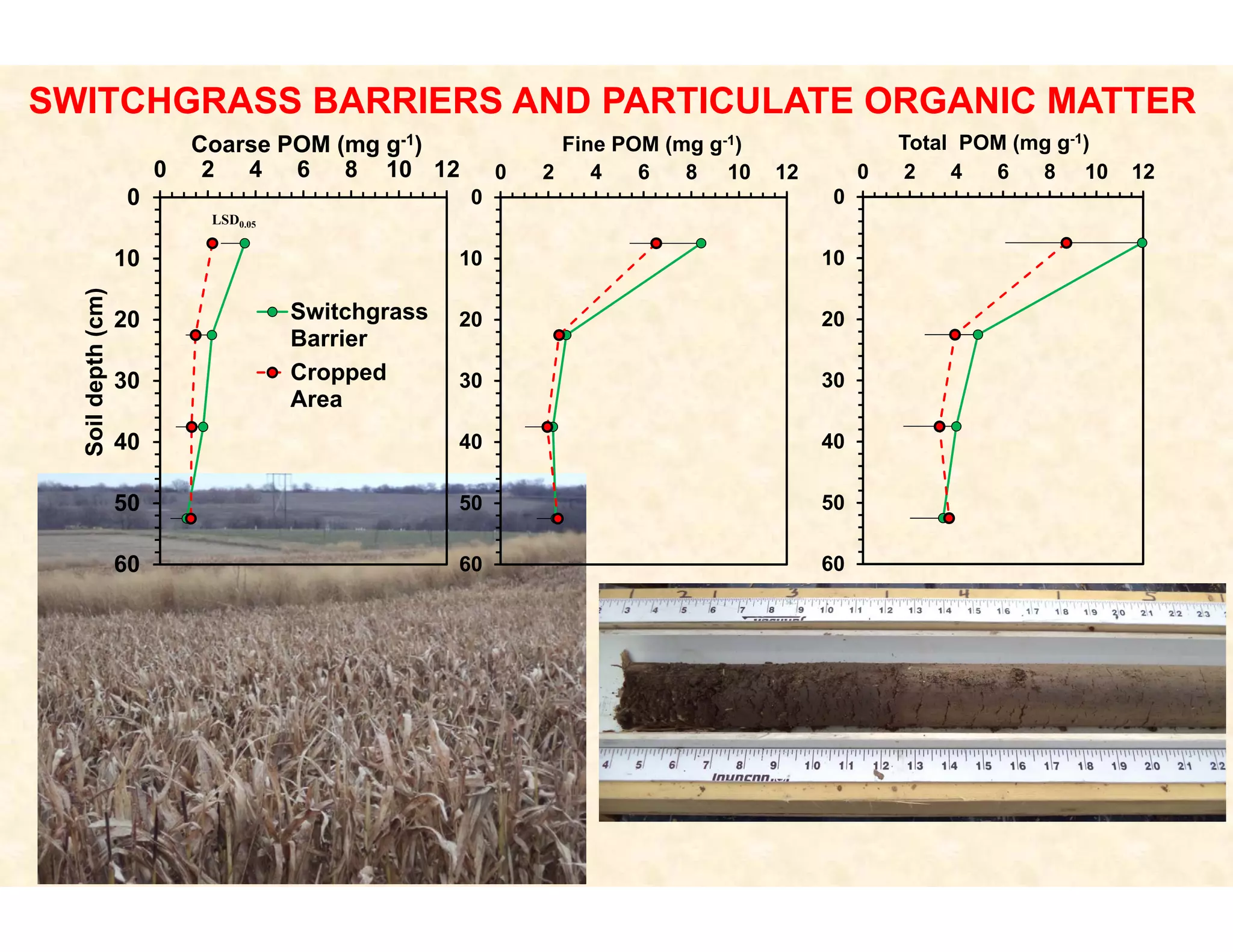 Vegetative barriers implecations on soil properties | PDF