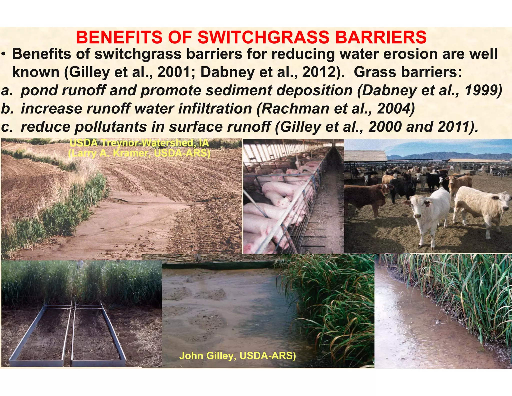 Vegetative barriers implecations on soil properties | PDF