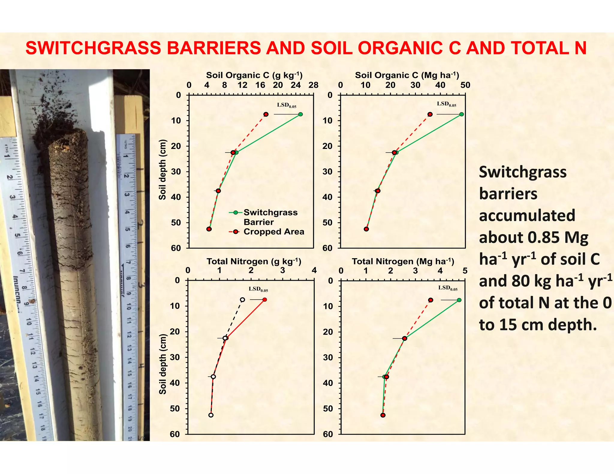 Vegetative barriers implecations on soil properties | PDF