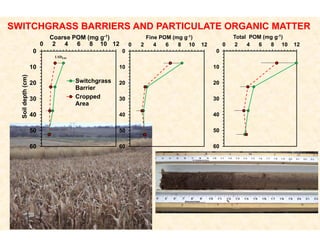 Vegetative barriers implecations on soil properties | PDF