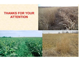 Vegetative barriers implecations on soil properties | PDF