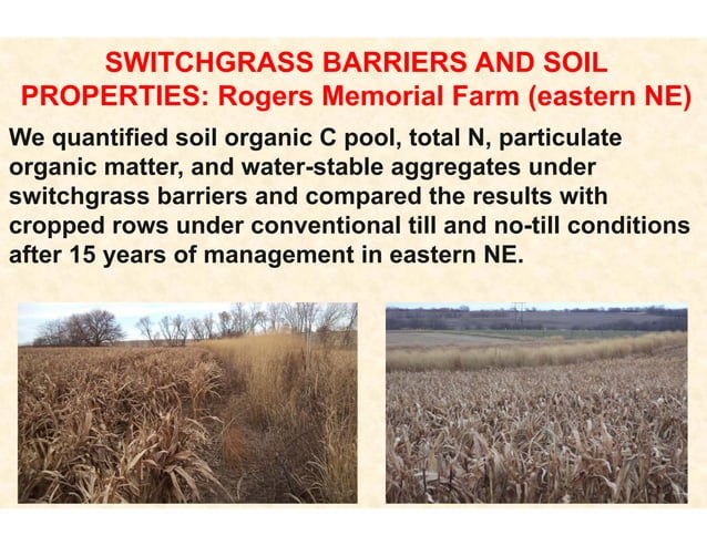 Vegetative barriers implecations on soil properties | PPT