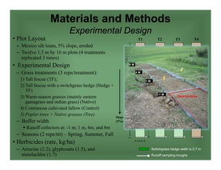 Vegetative buffer strips for reducing herbicide | PDF