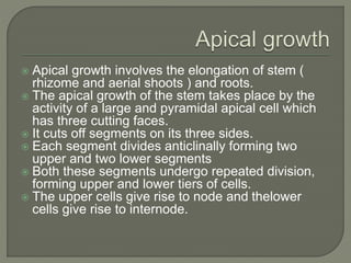 Vegetative characters of equisetum | PPTX