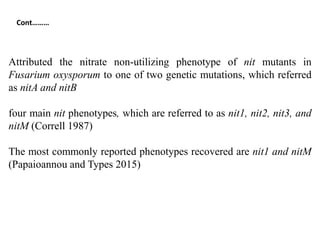 Vegetative compatibility in fungi | PPT