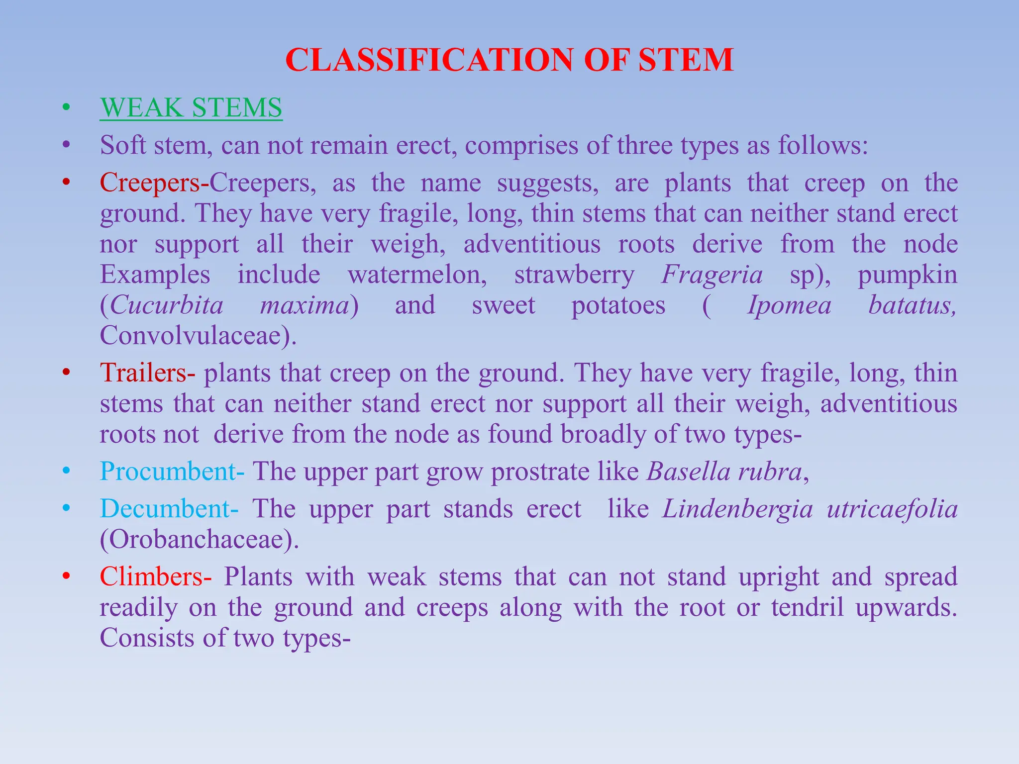 Vegetative morphology- A general account Stems with modifications. | PDF