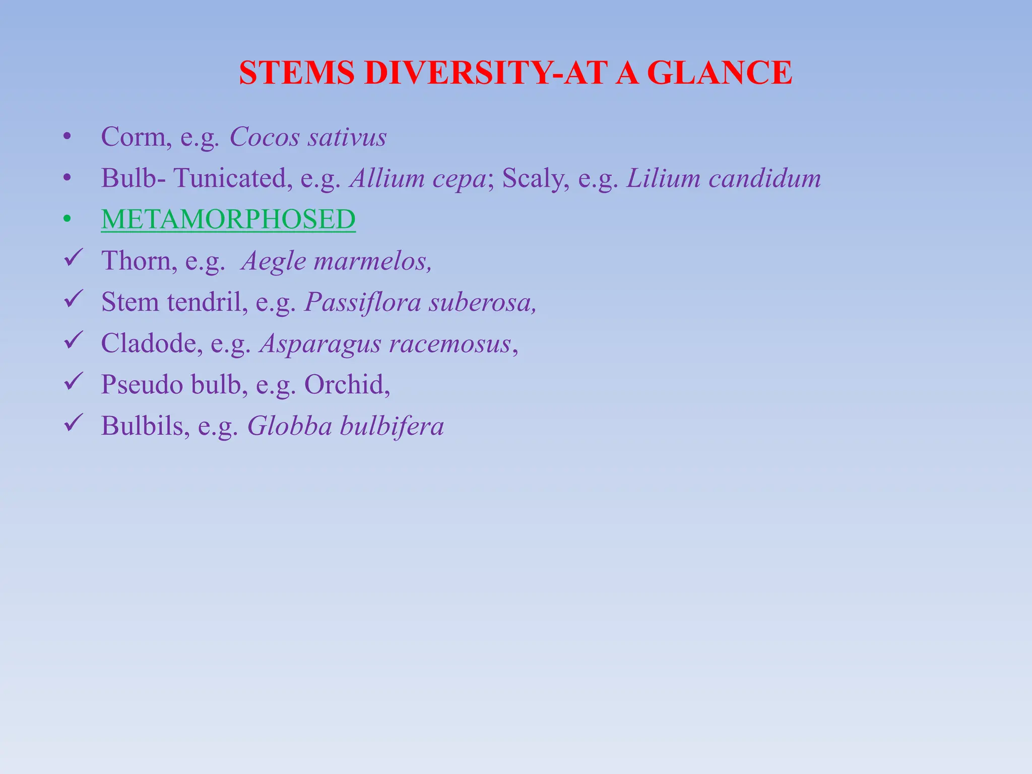 Vegetative morphology- A general account Stems with modifications. | PDF
