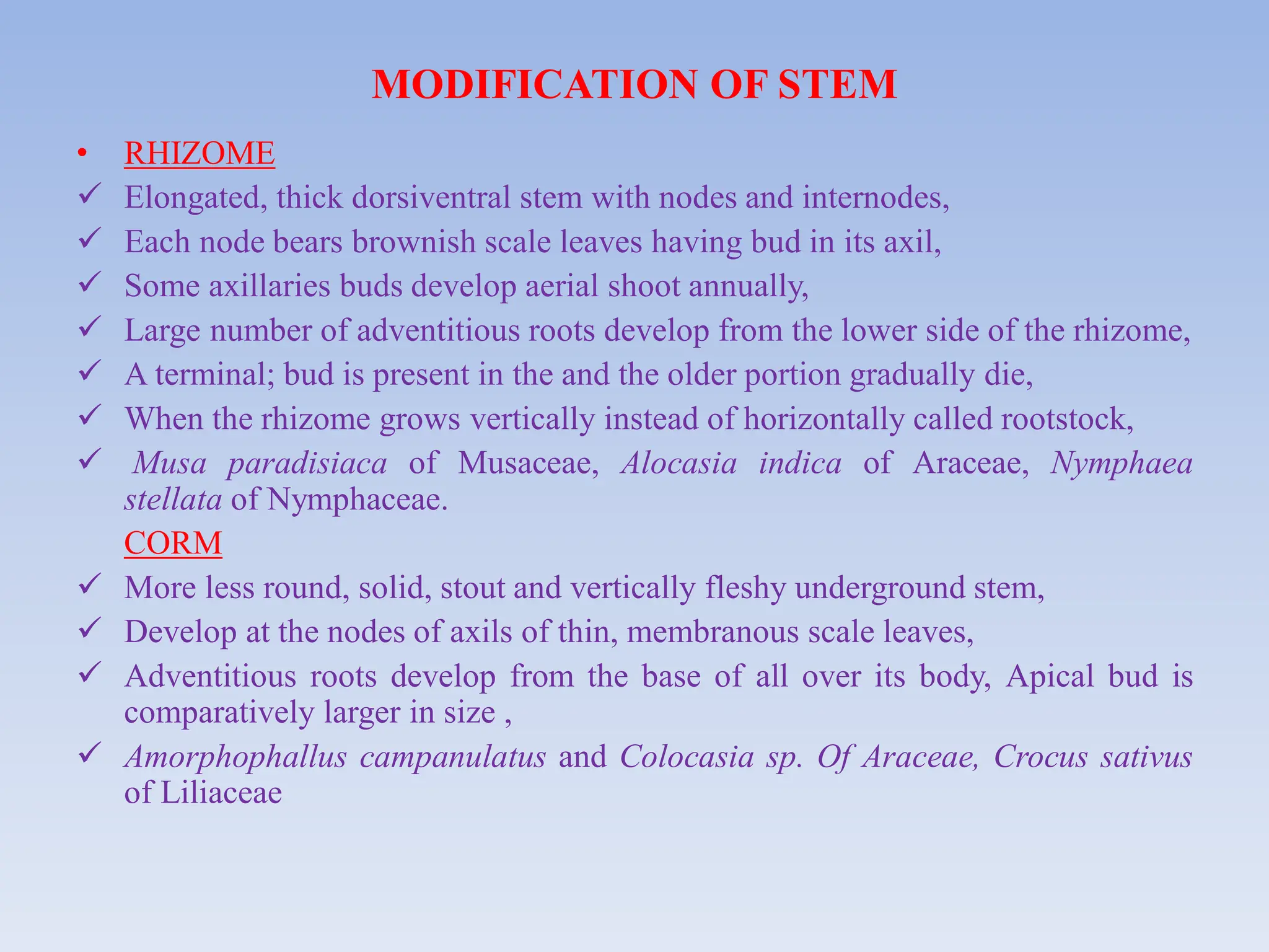 Vegetative morphology- A general account Stems with modifications. | PDF