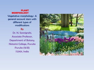 Vegetative morphology- A general account Stems with modifications. | PDF