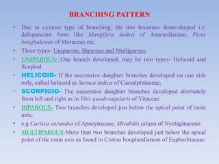Vegetative morphology- A general account Stems with modifications. | PDF