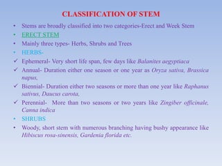 Vegetative morphology- A general account Stems with modifications. | PDF