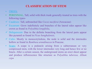 Vegetative morphology- A general account Stems with modifications. | PDF