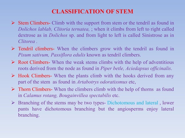 Vegetative morphology- A general account Stems with modifications. | PDF