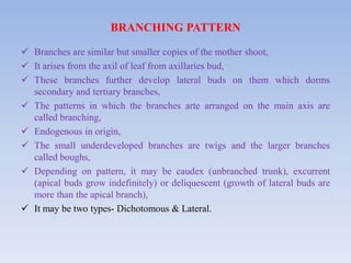 Vegetative morphology- A general account Stems with modifications. | PDF