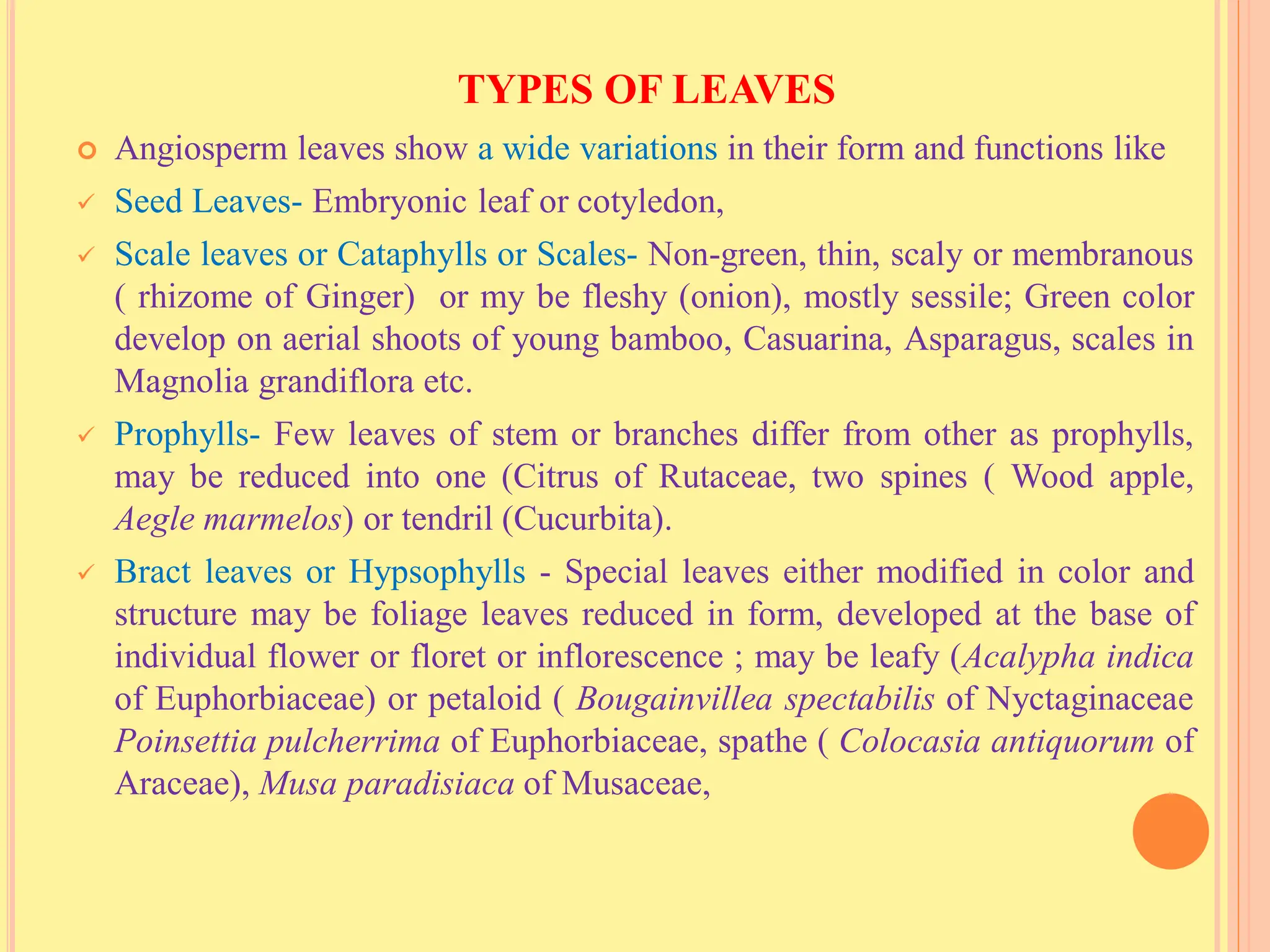 General Account of Types of Leaves, Venation and Prefoliation | PDF