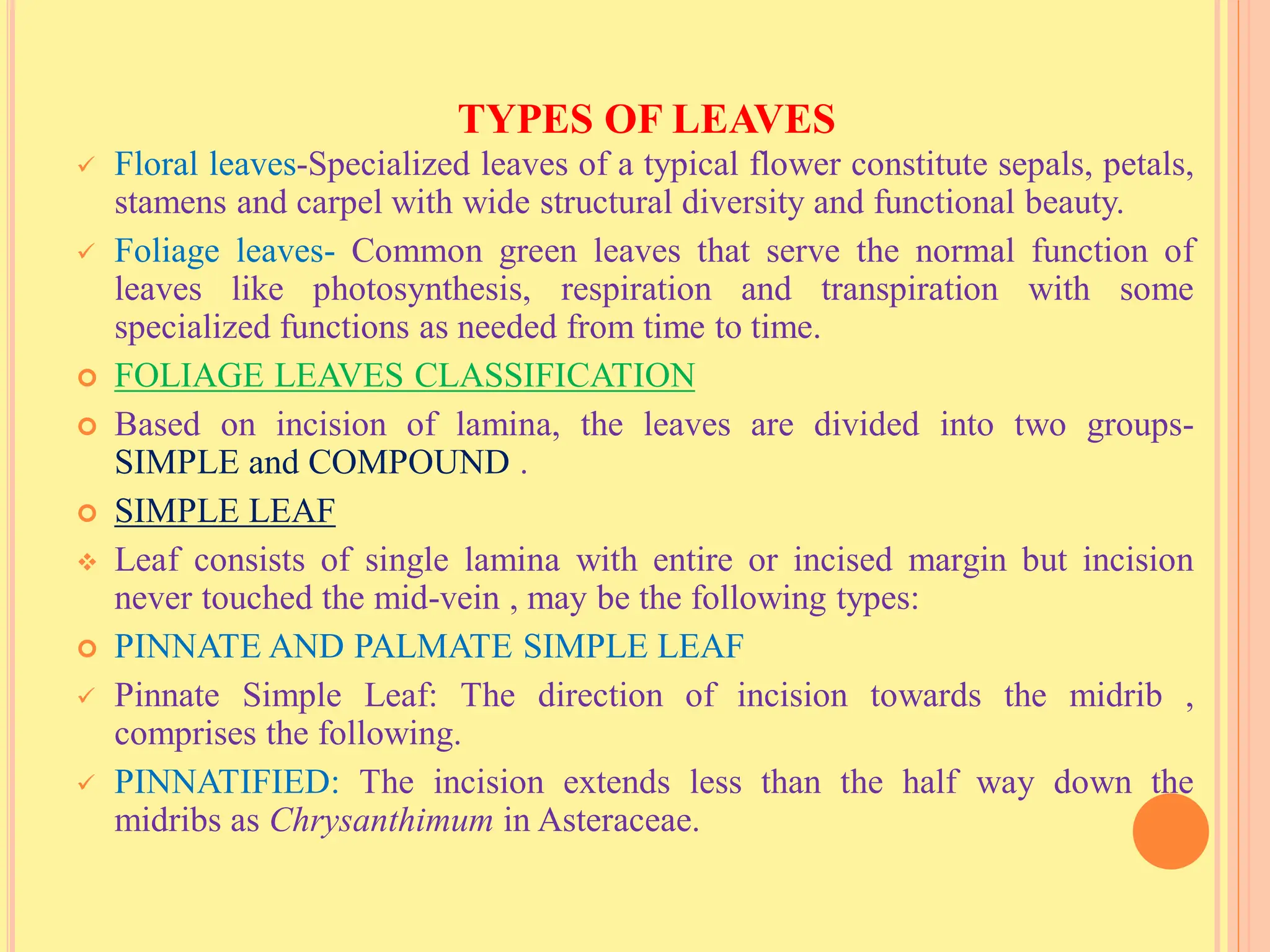 General Account of Types of Leaves, Venation and Prefoliation | PDF