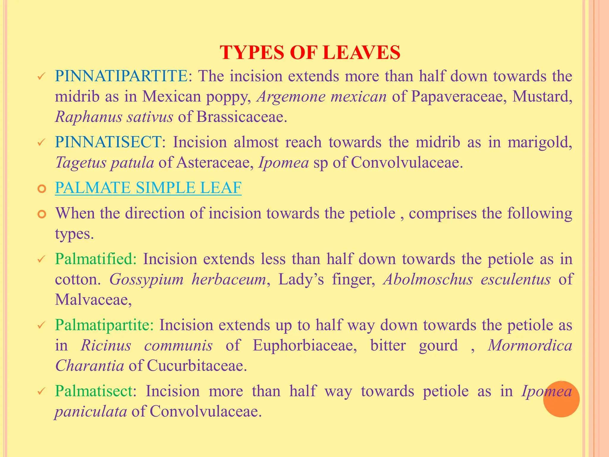 General Account of Types of Leaves, Venation and Prefoliation | PDF