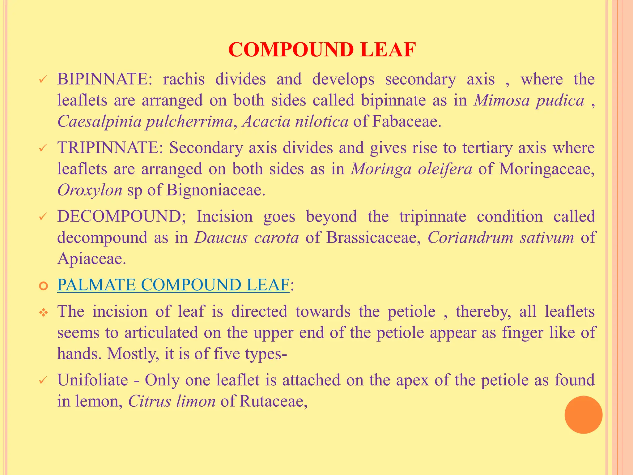 General Account of Types of Leaves, Venation and Prefoliation | PDF
