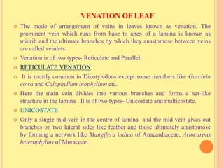 General Account of Types of Leaves, Venation and Prefoliation | PDF ...