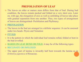 General Account of Types of Leaves, Venation and Prefoliation | PDF ...