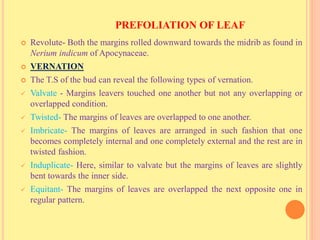 General Account of Types of Leaves, Venation and Prefoliation | PDF ...
