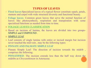 General Account of Types of Leaves, Venation and Prefoliation | PDF