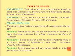 General Account of Types of Leaves, Venation and Prefoliation | PDF ...