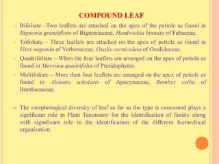 General Account of Types of Leaves, Venation and Prefoliation | PDF ...