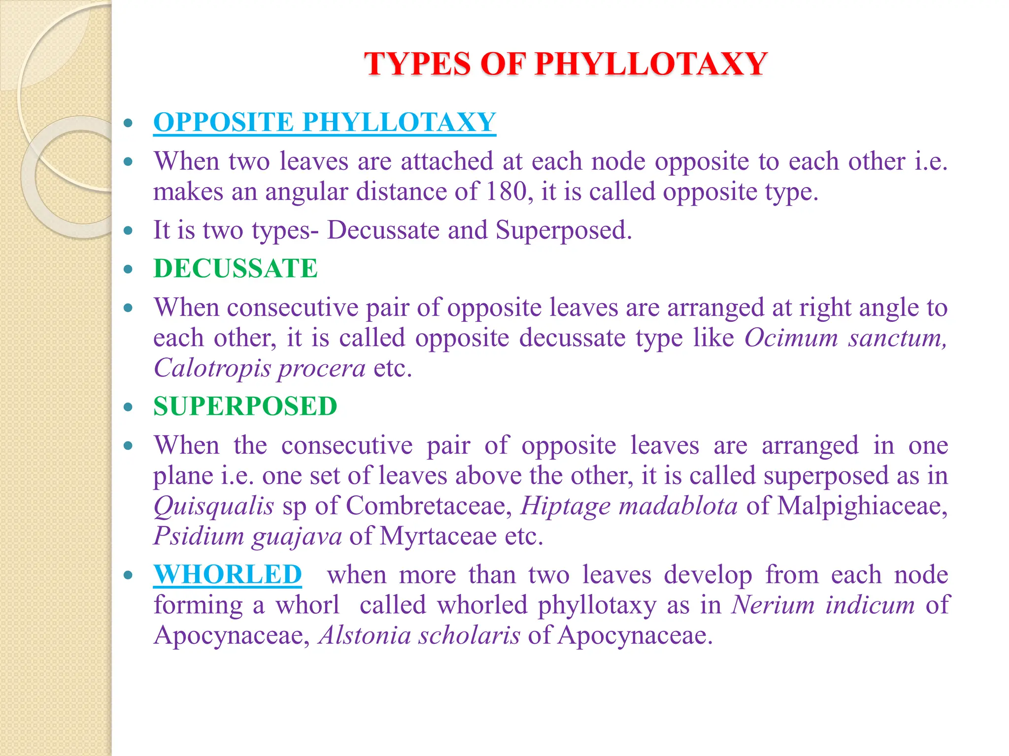 Vegetative morphology- A general account of phyllotaxy and Modification ...