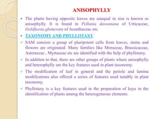 Vegetative morphology- A general account of phyllotaxy and Modification ...