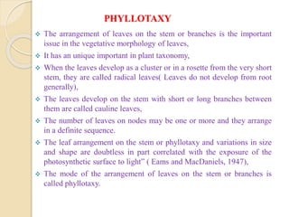 Vegetative morphology- A general account of phyllotaxy and Modification ...