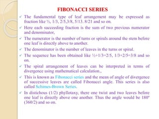 Vegetative morphology- A general account of phyllotaxy and Modification ...