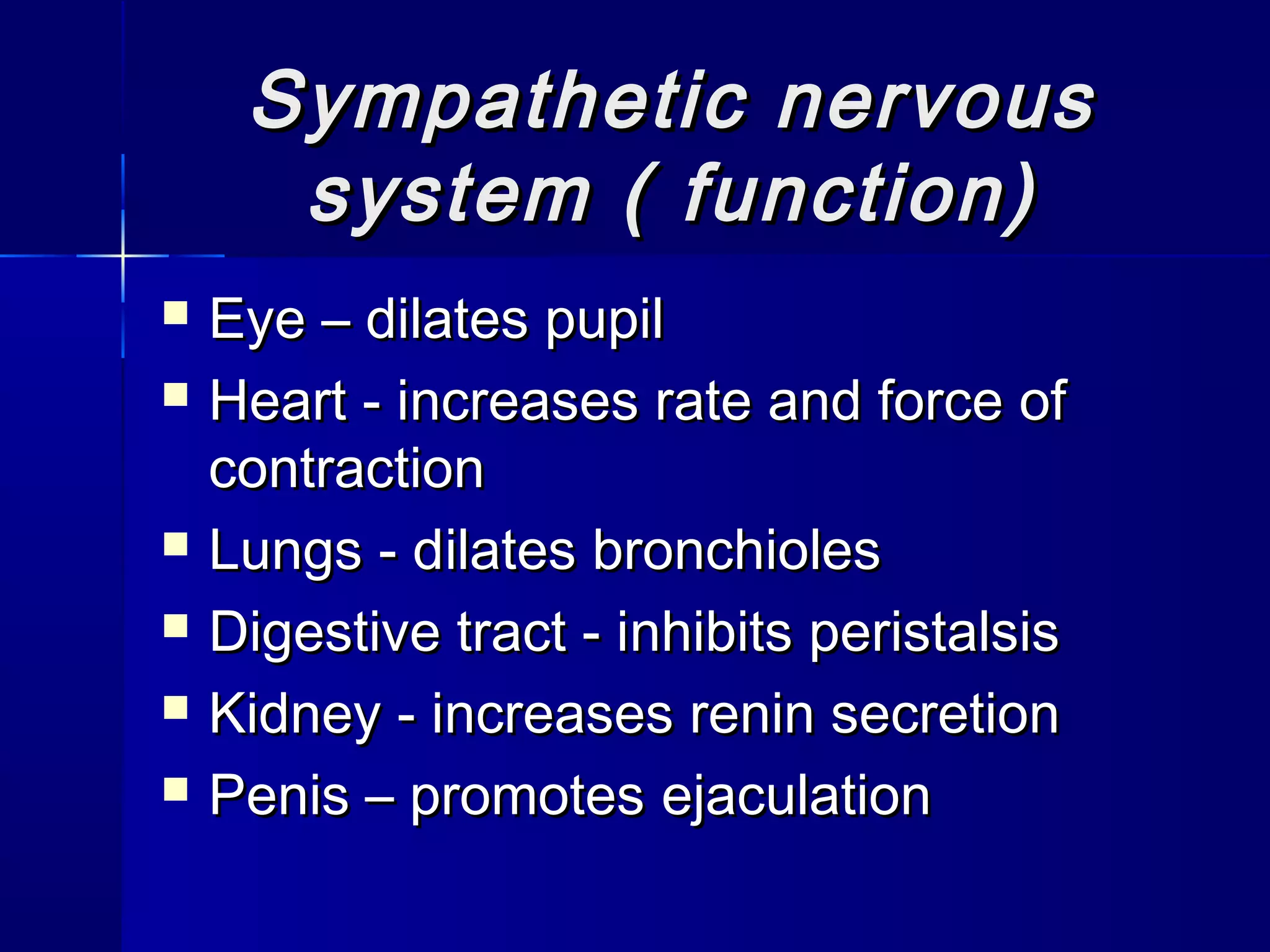 Vegetative nervous system | PPT