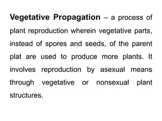 Vegetative propagation | PPTX