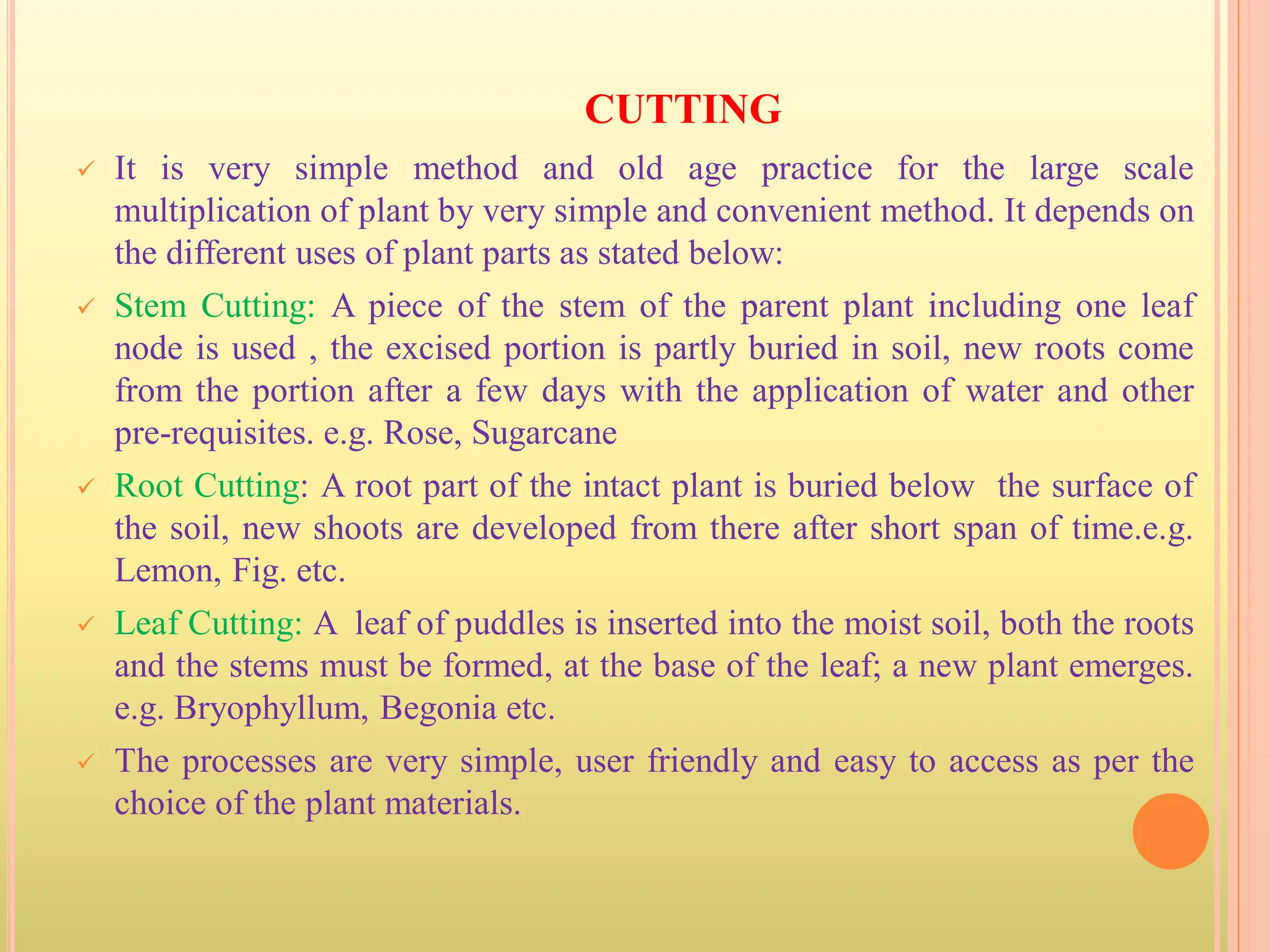 Vegetative Propagation in Plants with special reference to cutting ...